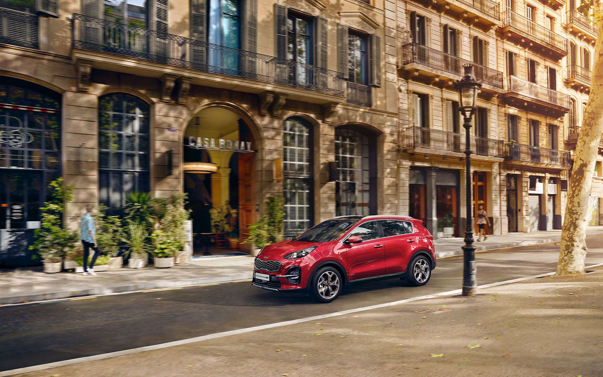 Discover Our Kia Range & Find A Dealer | Kia Motors Ireland