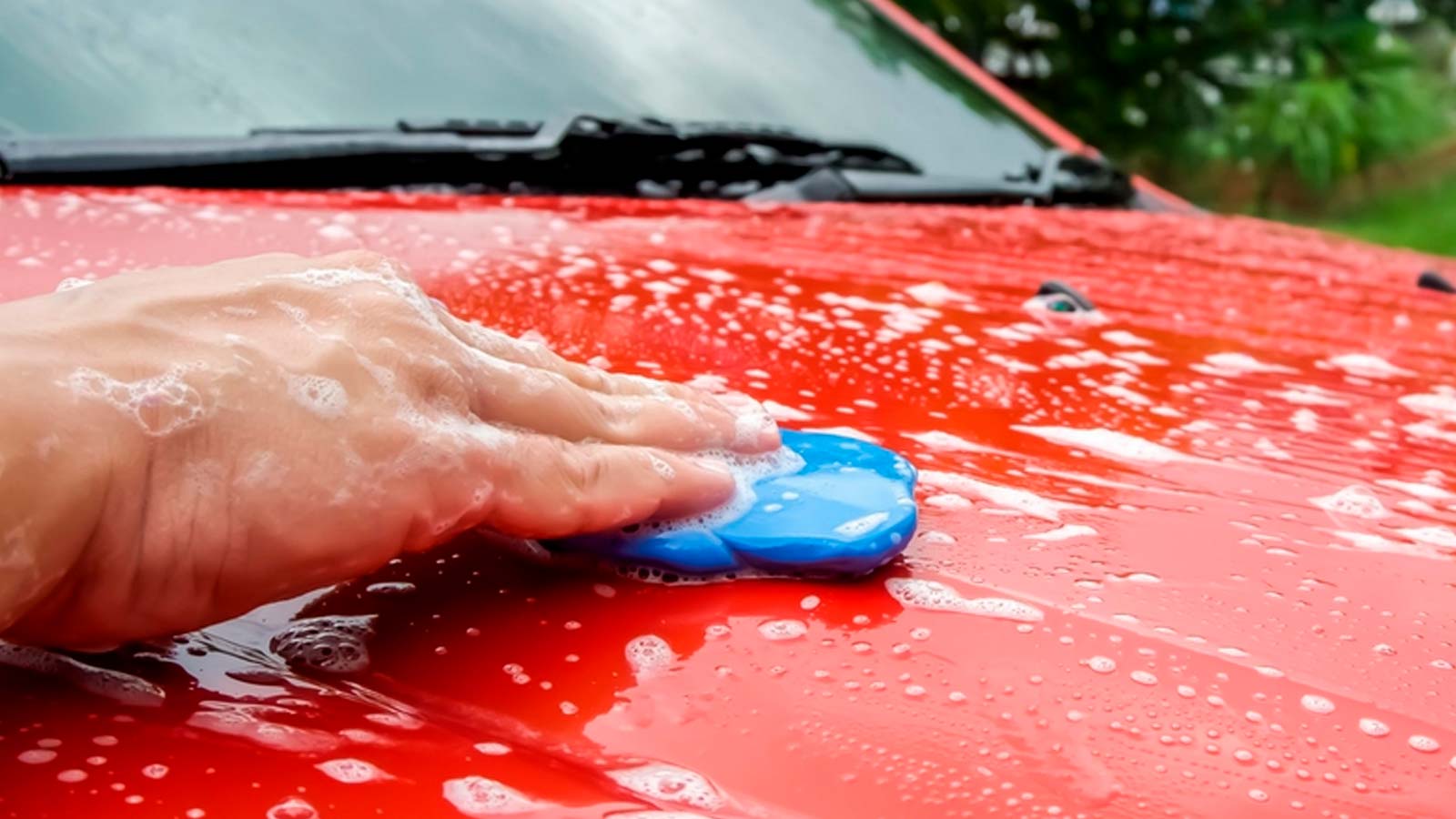 Descubre 6 consejos para limpiar tu auto nuevo por primera vez